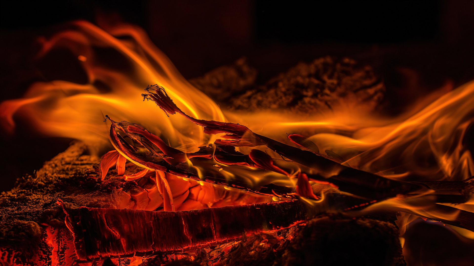 ...on fire Foto & Bild | stillleben, techniken, die elemente Bilder auf ...