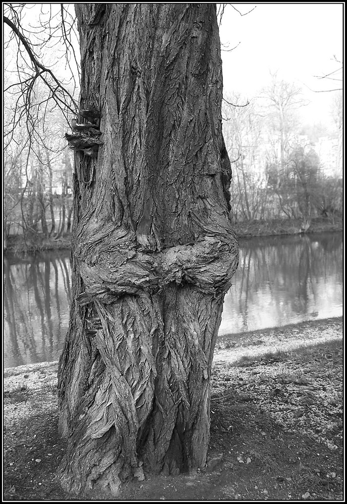 On grelotte ici photo et image | arbres, nature Images fotocommunity