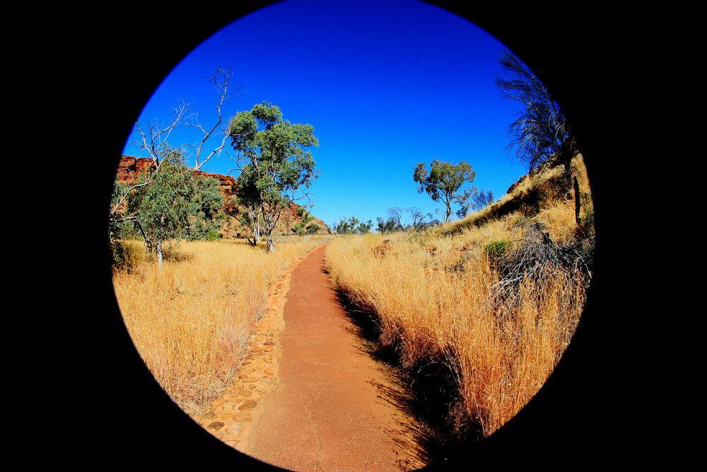 On the way to...? Foto & Bild | australia & oceania, experimente ...