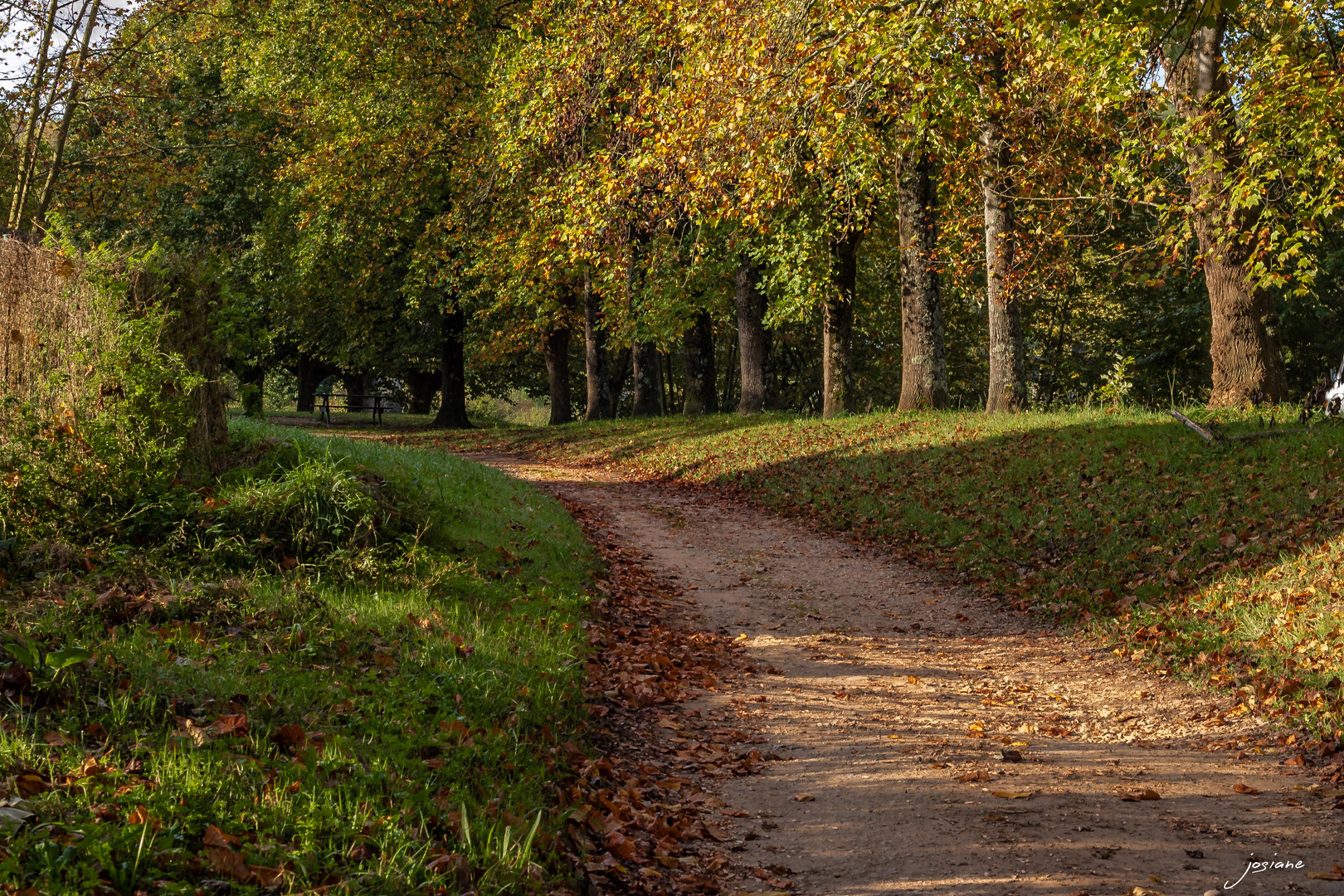 ON VA SE PROMENER ? photo et image | nature, paysage, chemin Images ...