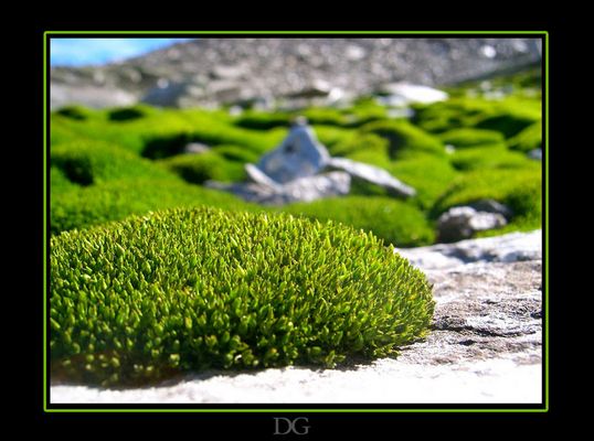 David Gärtner - Fotos & Bilder - Fotograf aus Neuenbürg, Deutschland ...