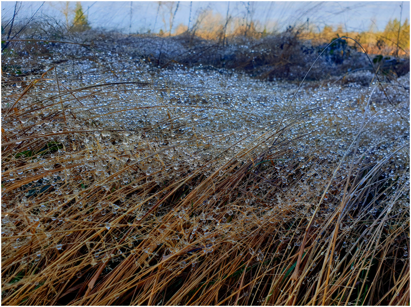 Ooooooooooooooooooooooooooooooooo