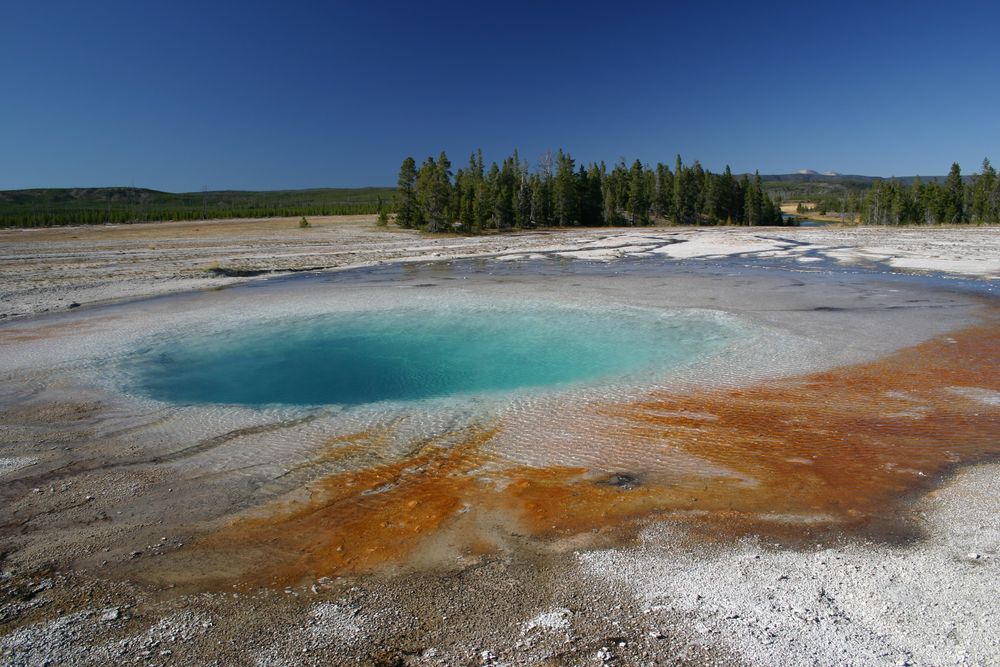 Opal Pool Foto & Bild | north america, united states, national parks ...