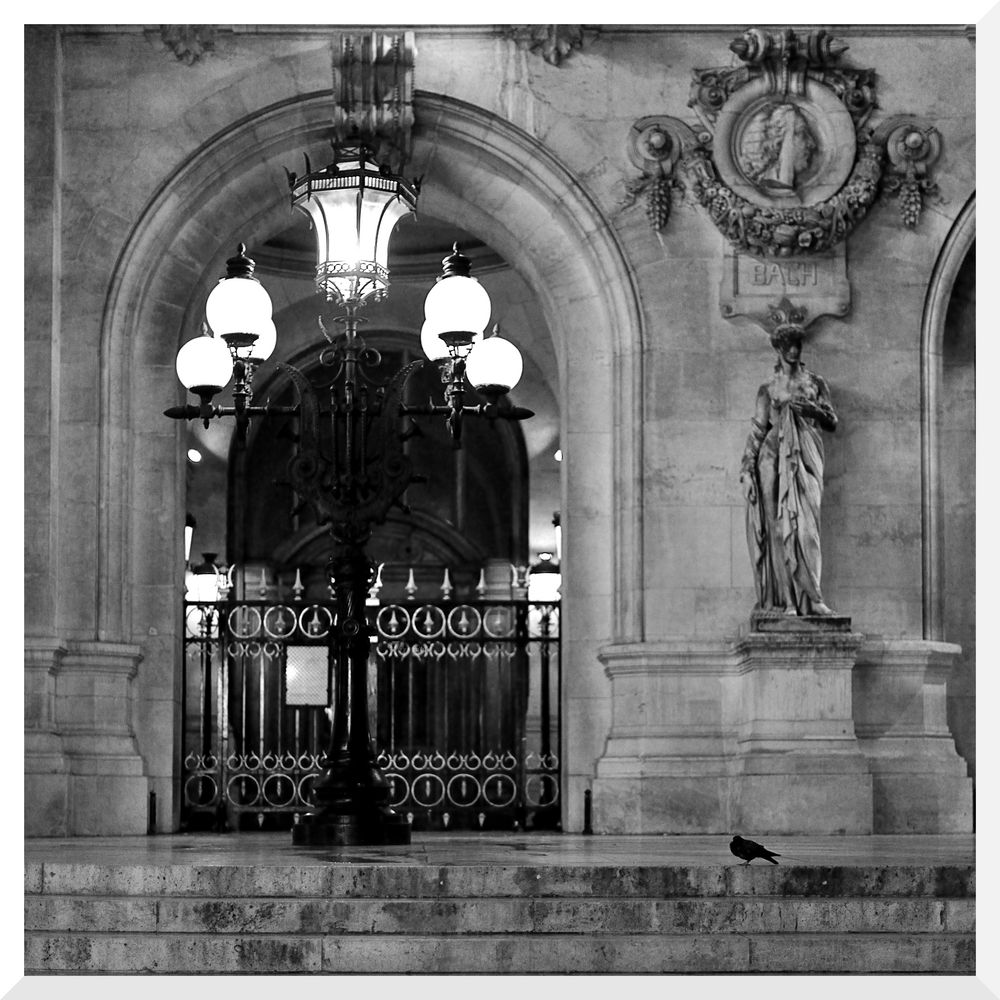 Opéra Garnier mit Taube Foto & Bild | france, paris, world Bilder auf ...