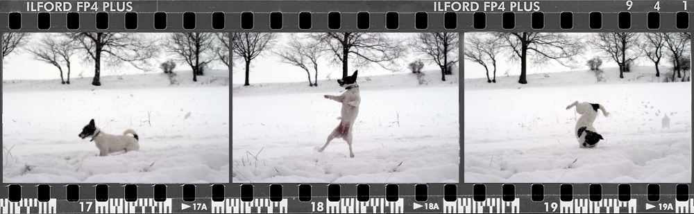 -=Operation=- *Snowball* Foto & Bild | archiv digitalphoto, 02 05 kb ...