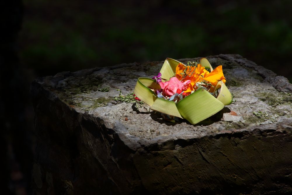 Opfergabe Foto & Bild | asia, indonesia, southeast asia Bilder auf ...