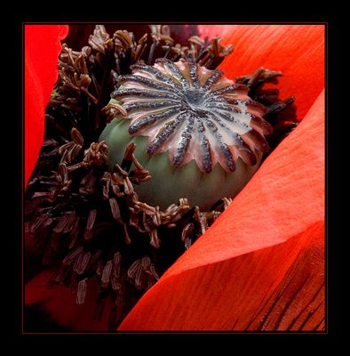 Johannes Roeßler - Fotos & Bilder - Fotograf aus Spaß wieder Freemember ...