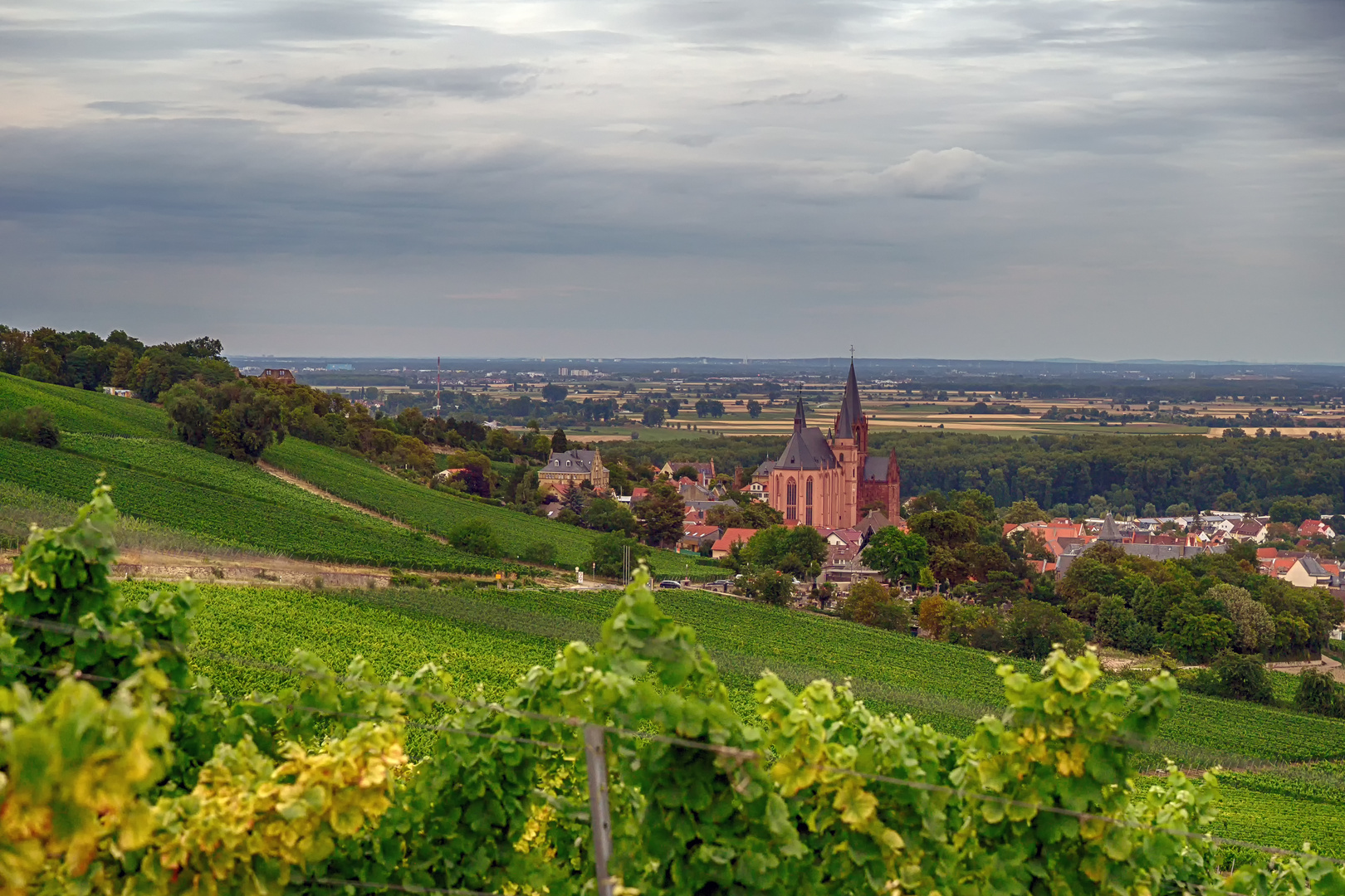 Oppenheim am Rhein Foto & Bild | deutschland, europe, rheinland-pfalz ...