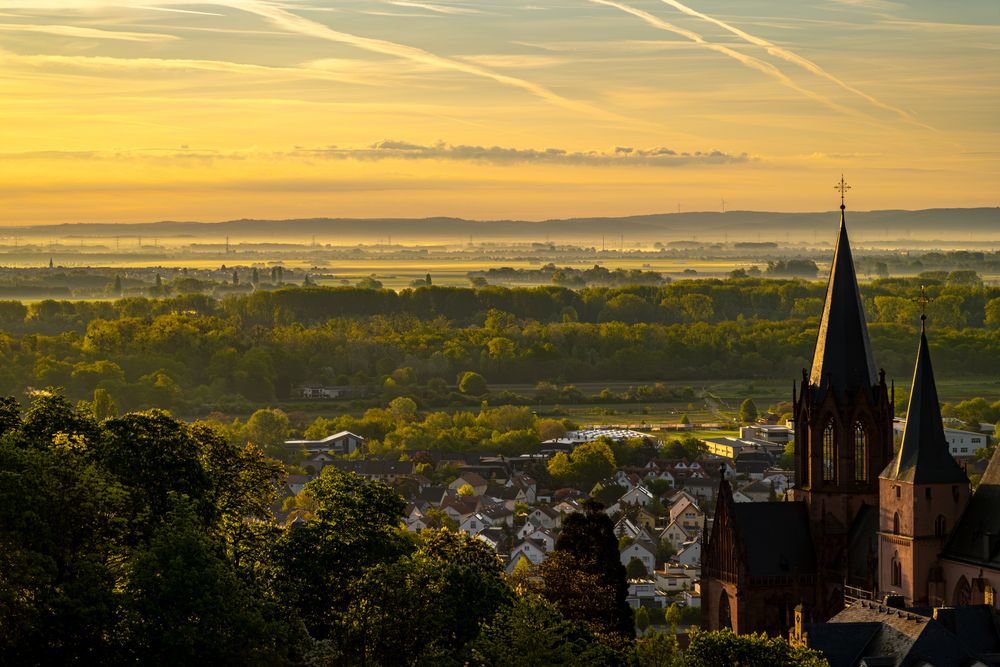 Oppenheim von den Weinbergen Foto & Bild | architektur, landschaft ...