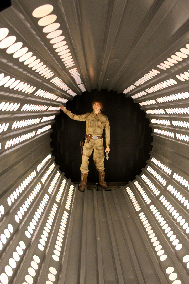 optische Täuschung in Perfektion Foto & Bild | dokumentation, natur ...