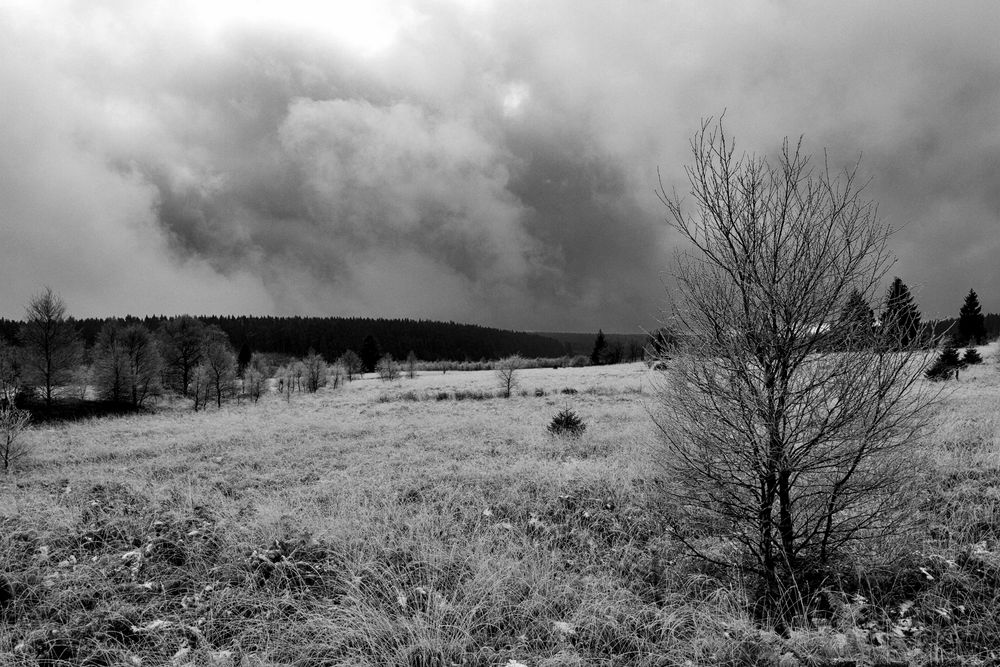 Orage photo et image | nature, orage, arbres Images fotocommunity