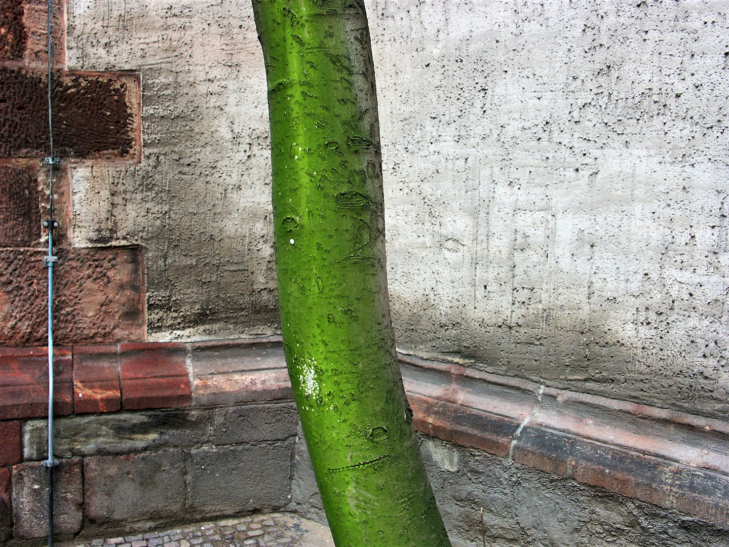 Organisch und Mineralisch Foto & Bild | spezial, natur, architektur ...