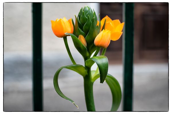 Neue Fotos international | fotocommunity