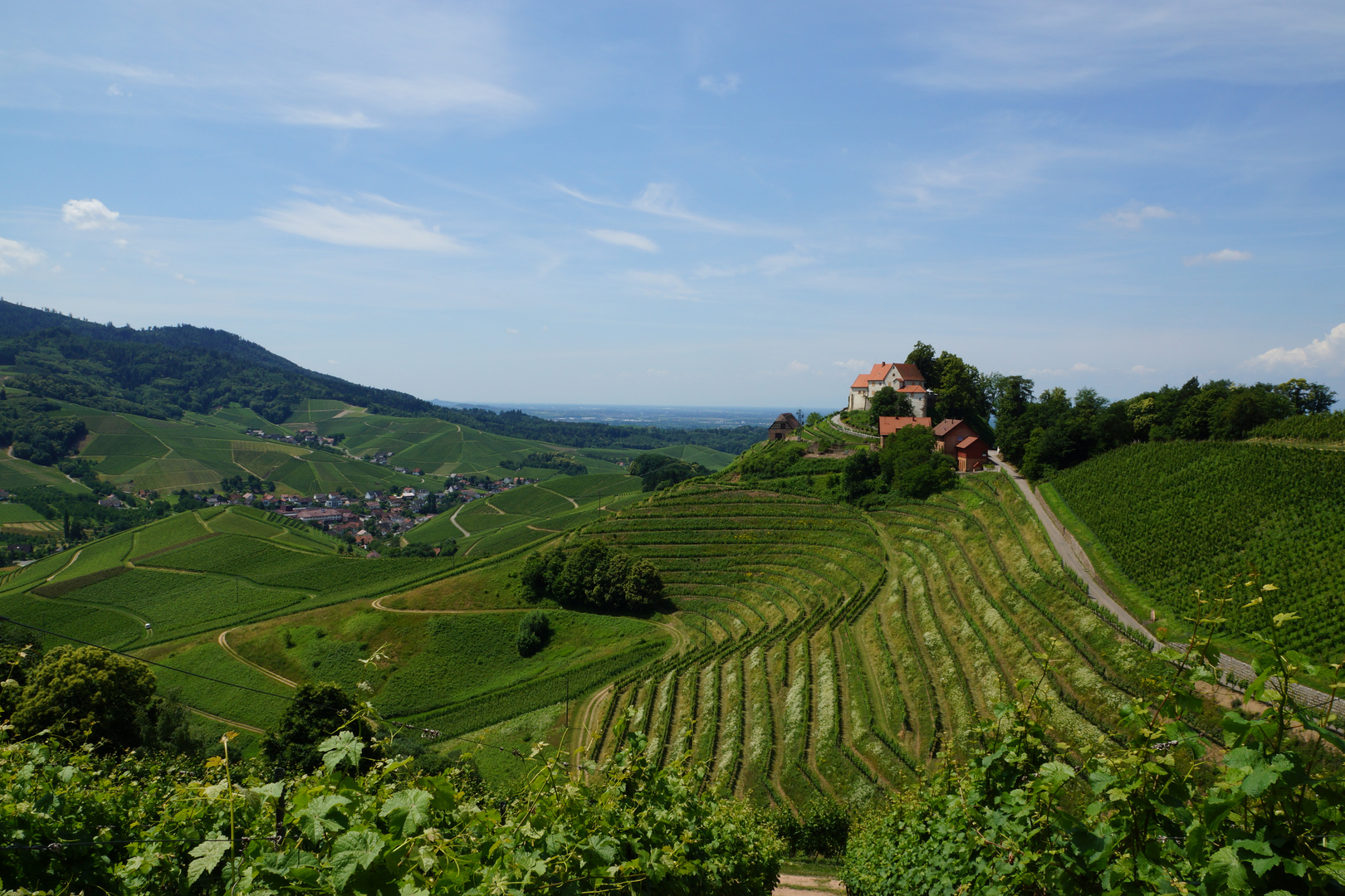 Ortenau Foto & Bild | landschaft, sommer, baden Bilder auf fotocommunity