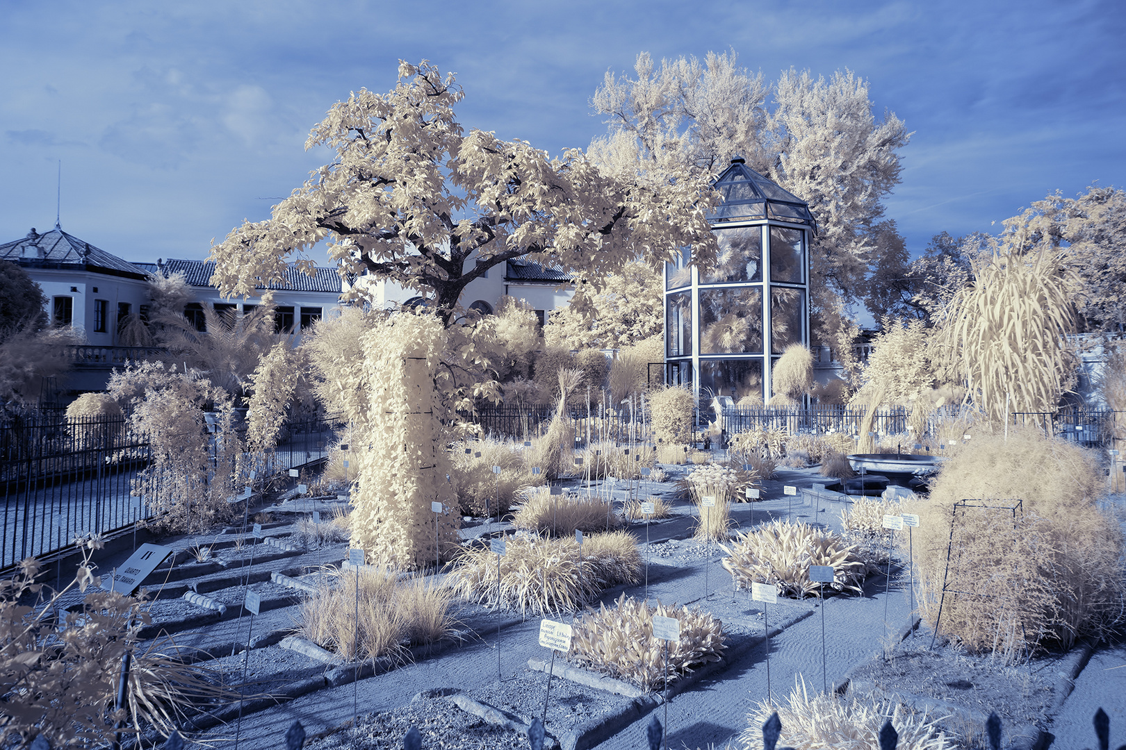 Orto botanico di Padova - Padua Botanical Garden [IR-2] Foto & Bild ...
