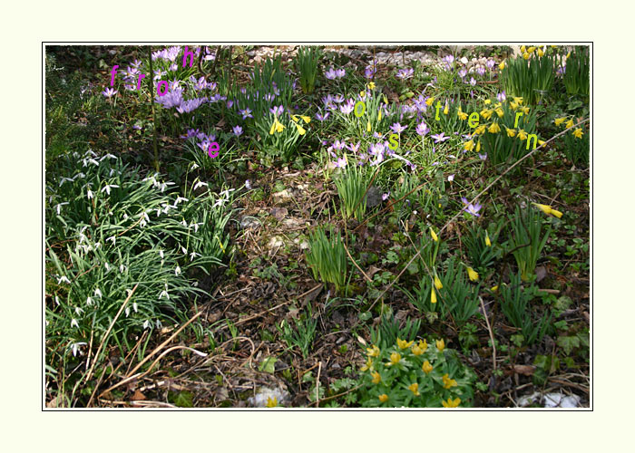 Oster-Suchbild Foto & Bild | sandwich & compositing, x-archiv, digiart ...