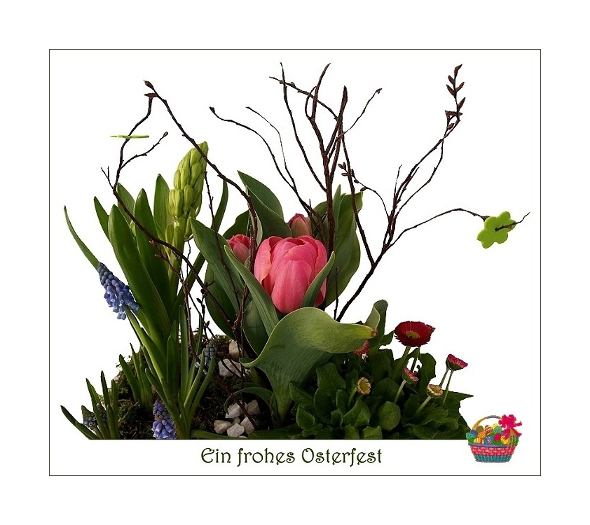 Ostergrüße Foto & Bild | karten und kalender, osterkarten, grußkarten ...