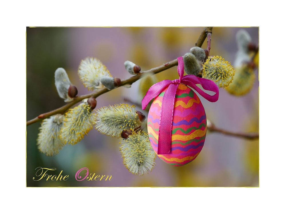 OSTERN Foto & Bild | licht, frühling, april Bilder auf fotocommunity