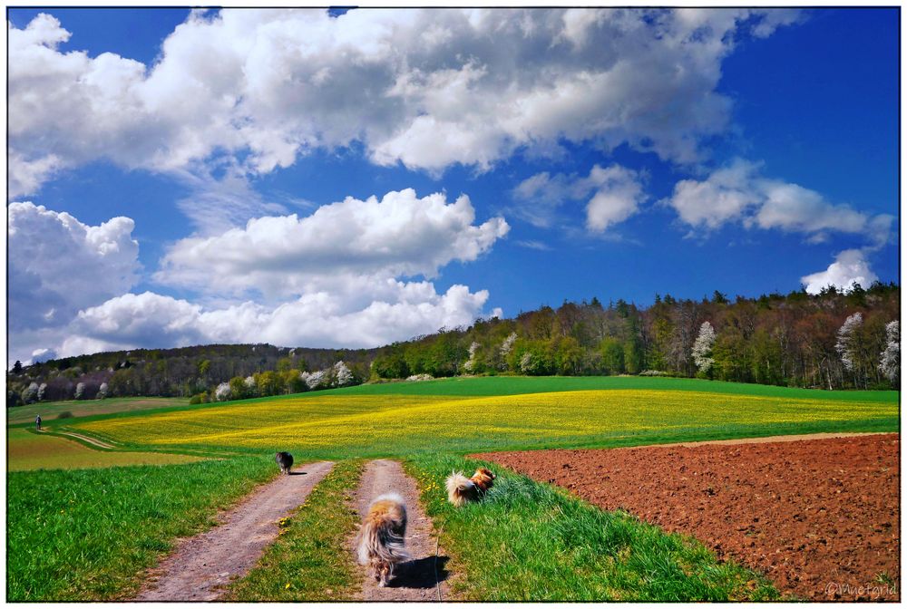 Osterspaziergang Foto & Bild | dokumentation, outdoor, blau Bilder auf fotocommunity