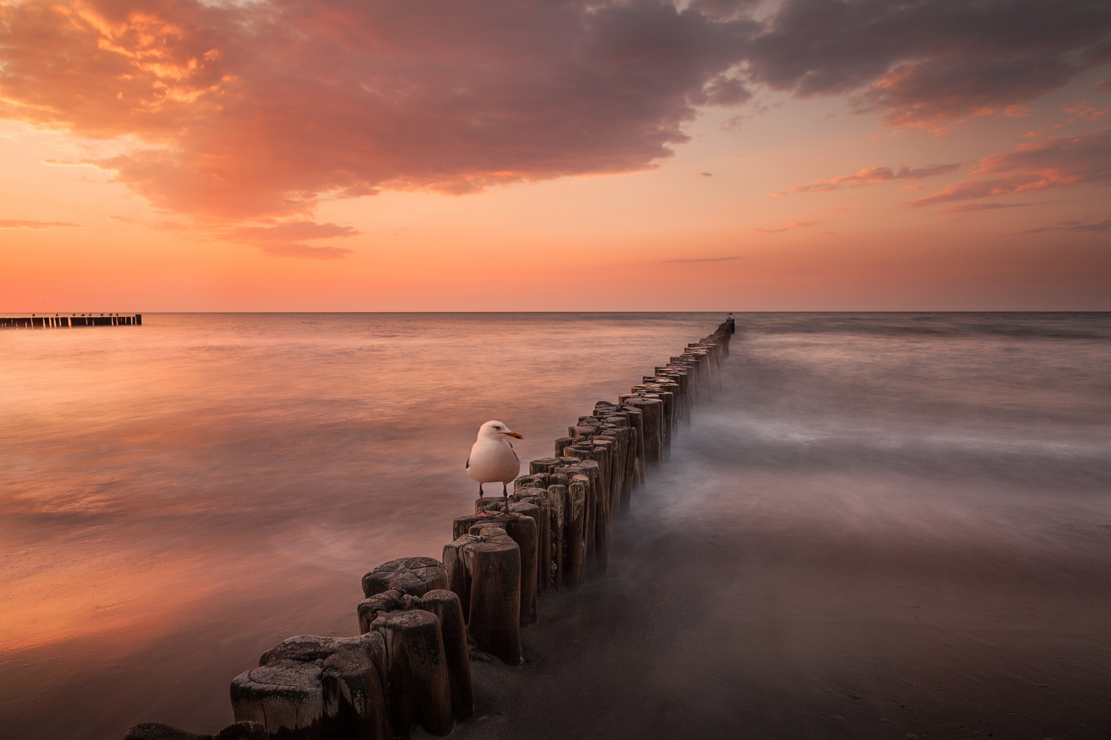 Ostfriesen Feuer Foto & Bild | world, sonnenuntergang, wolken Bilder ...