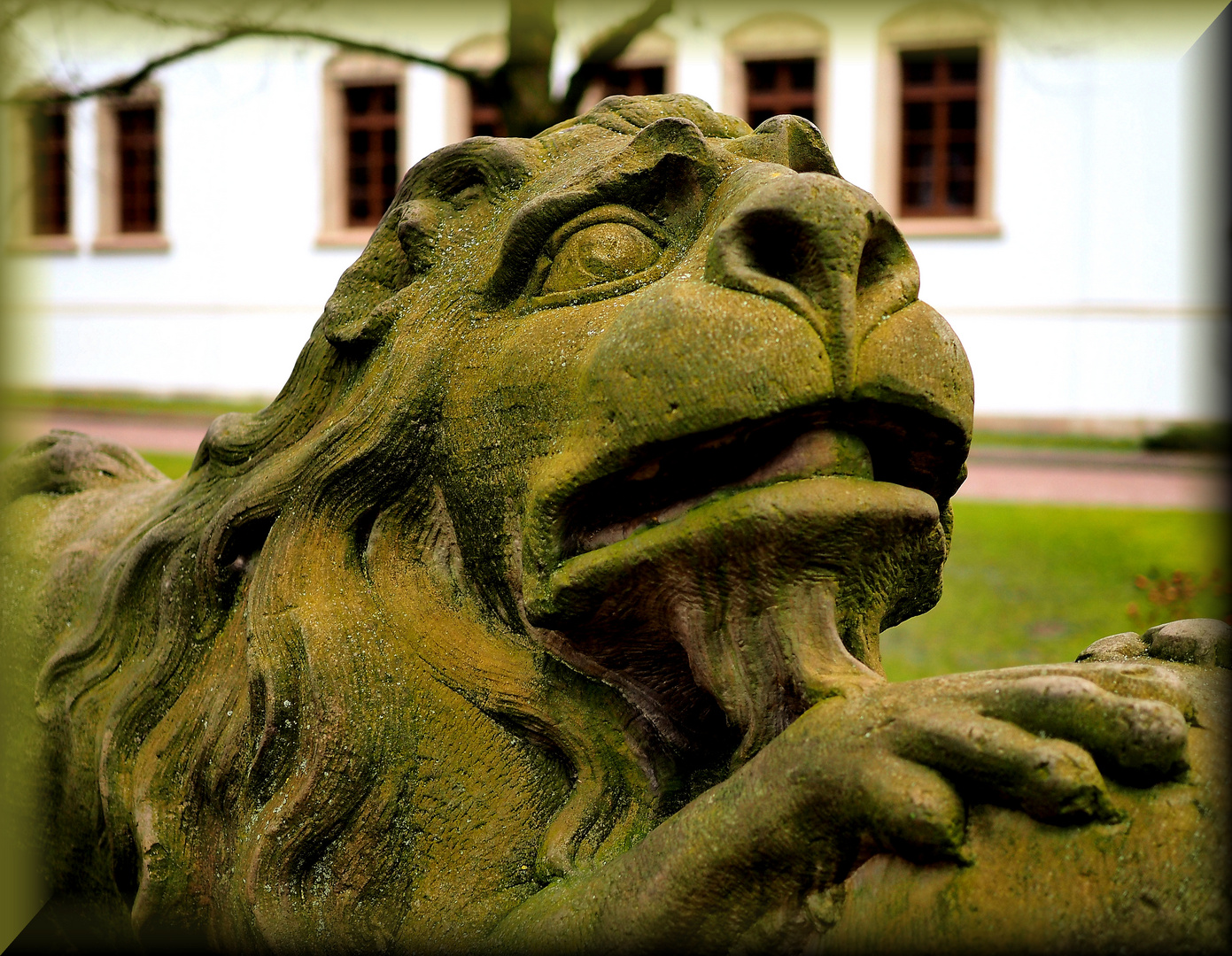 Ostfriesland in 6 Stunden 24 ...Grünes Viech... Foto & Bild ...