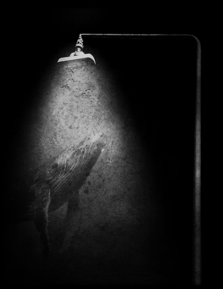 oT Foto & Bild | fotomontage, fantasy mystery, mystische orte Bilder auf fotocommunity