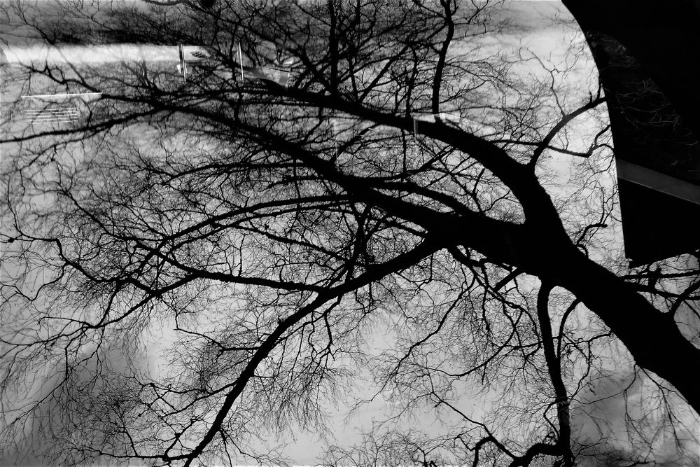 o.T. Foto & Bild | projekte, monochrom, bearbeitungs - techniken Bilder auf fotocommunity