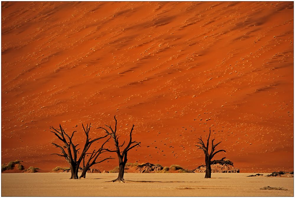Out of Africa [84] - Ghost Trees Foto & Bild | africa, southern africa ...