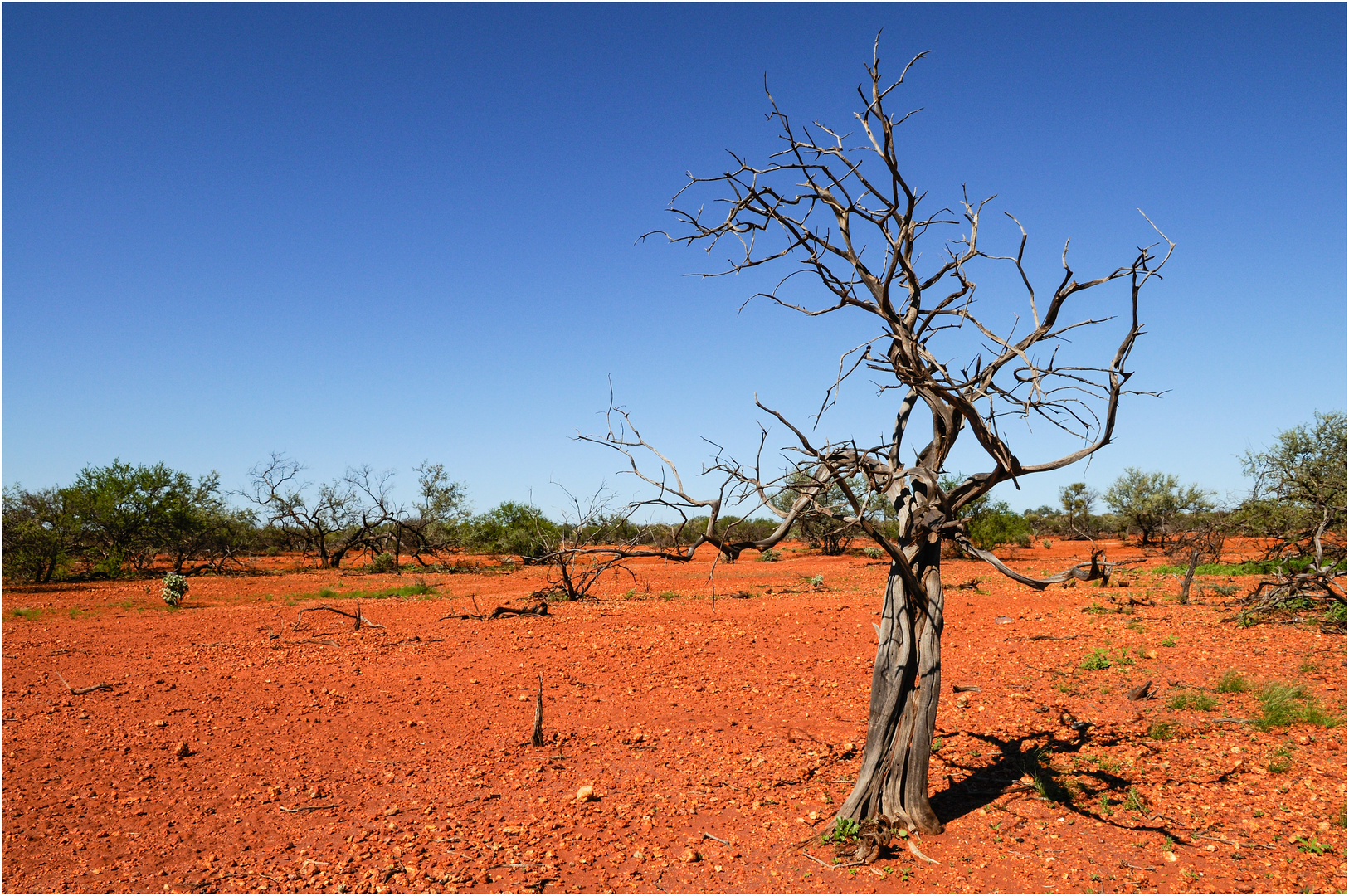"Outback" - Australien, 2008 Foto & Bild | australia & oceania ...