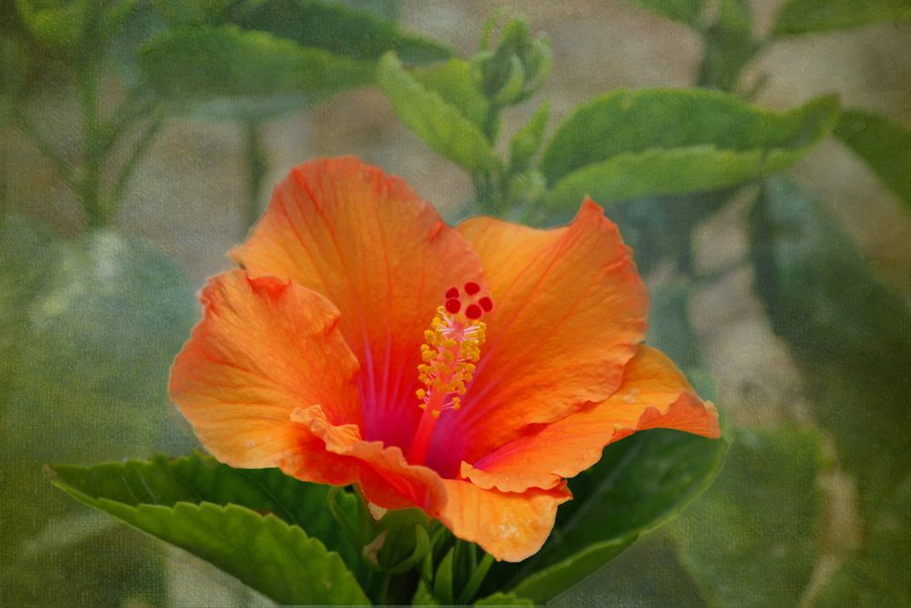 P1360697COM2FC | Edith Vogel Fotografie