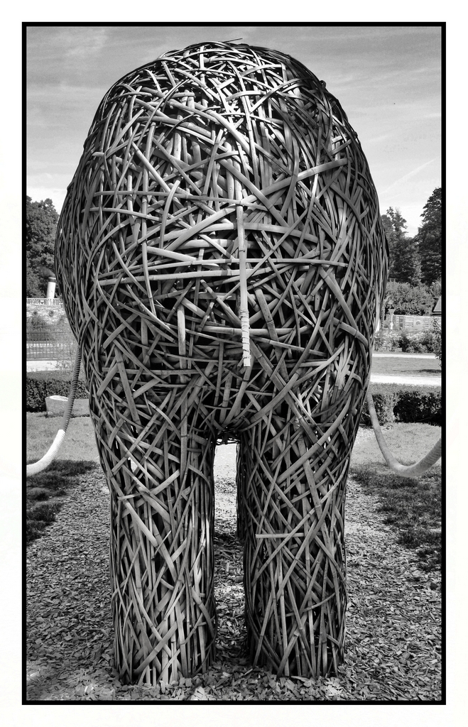 Pachyderme photo et image | sculpture, safari, special Images fotocommunity