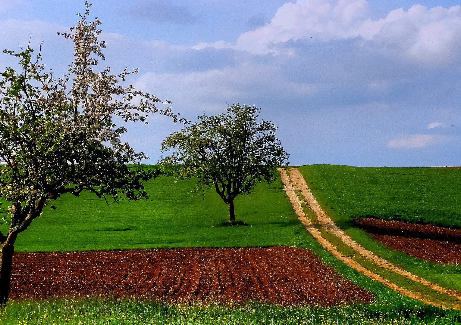 Pack die Wanderschuhe ein Foto & Bild | jahreszeiten, frühling, hegau ...