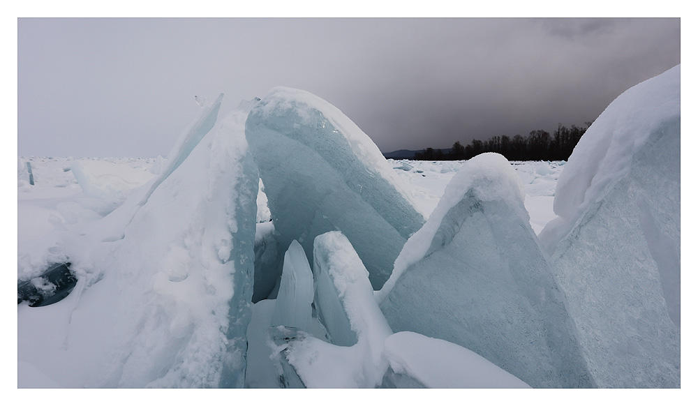 Packeis Foto & Bild | world, winter, eis Bilder auf fotocommunity