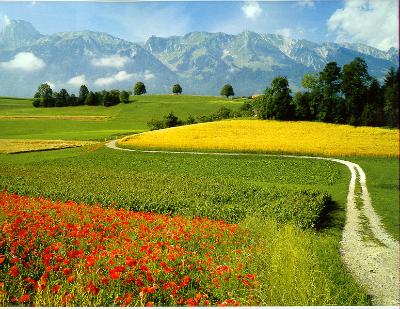 Paesaggio di campagna Foto % Immagini| mie foto, natura Foto su ...