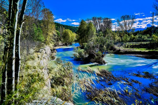 Bosques Imágenes y fotos
