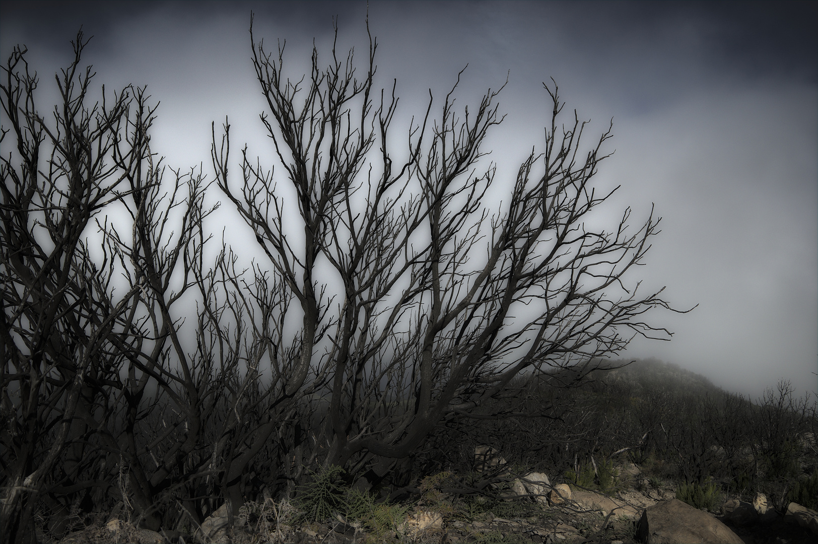 paisaje devastado - VII Foto & Bild | landschaft, gomera, la gomera ...