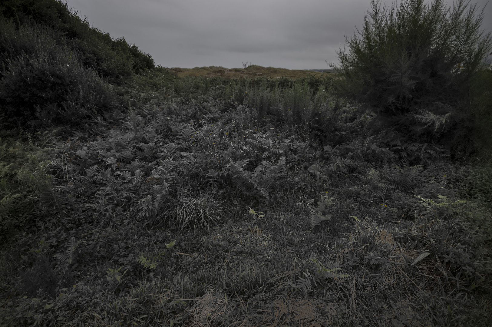 PAISAJE FEO Imagen & Foto | europe, spain, galizien & asturien Fotos de ...