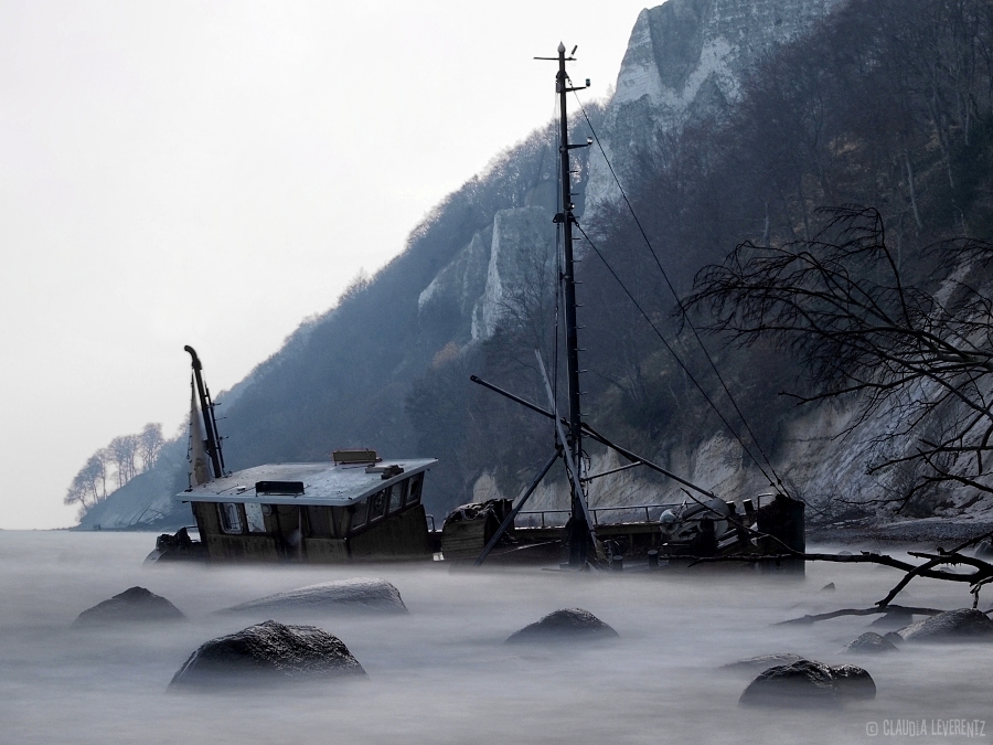 palaemon ... Foto & Bild | deutschland, europe, mecklenburg- vorpommern ...