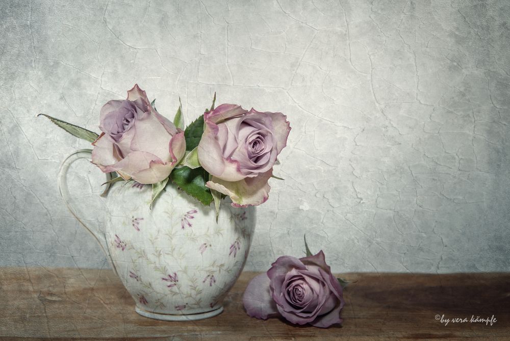 pale roses Foto & Bild | stillleben, arrangierte szenen, rosen Bilder ...