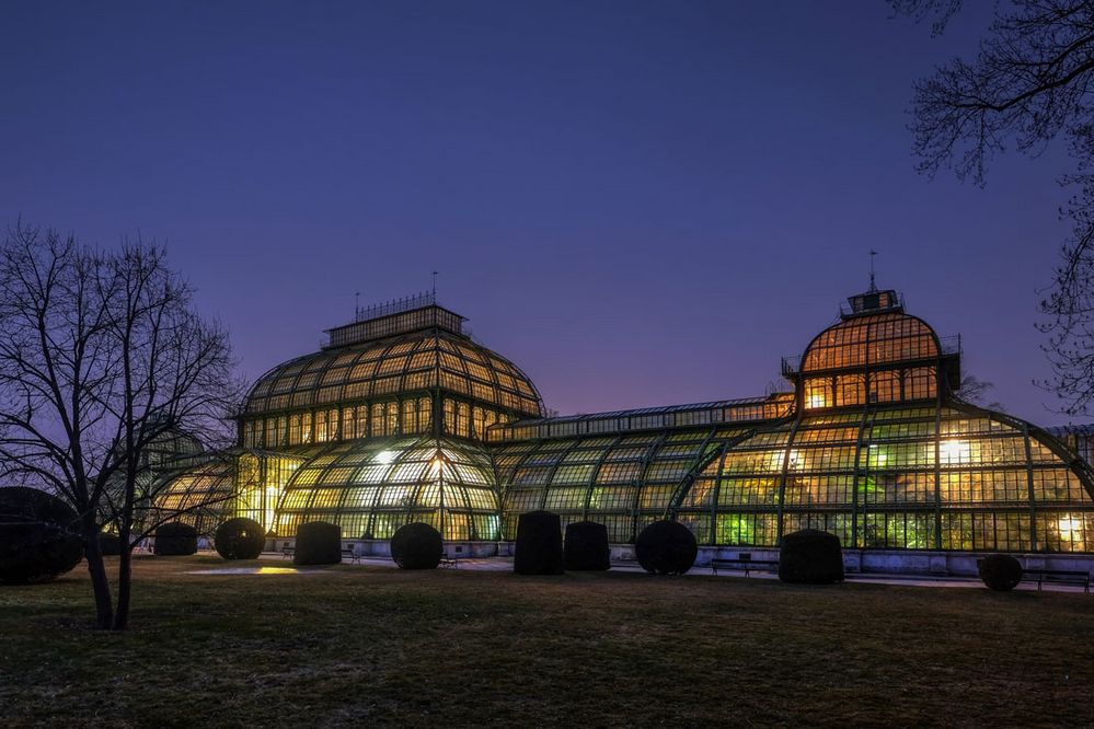 Palmenhaus Foto & Bild | europe, Österreich, wien Bilder auf fotocommunity