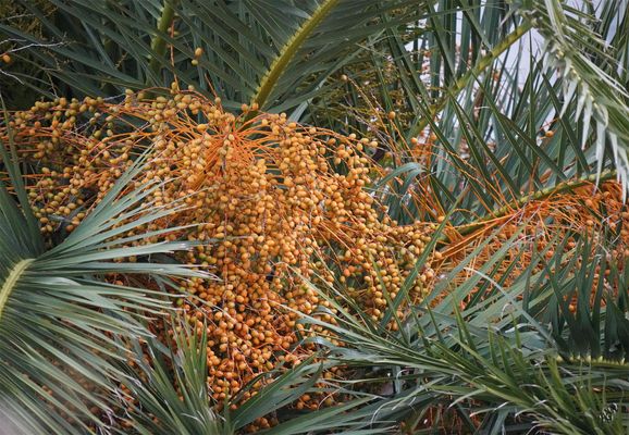 Jardins Images & Photos