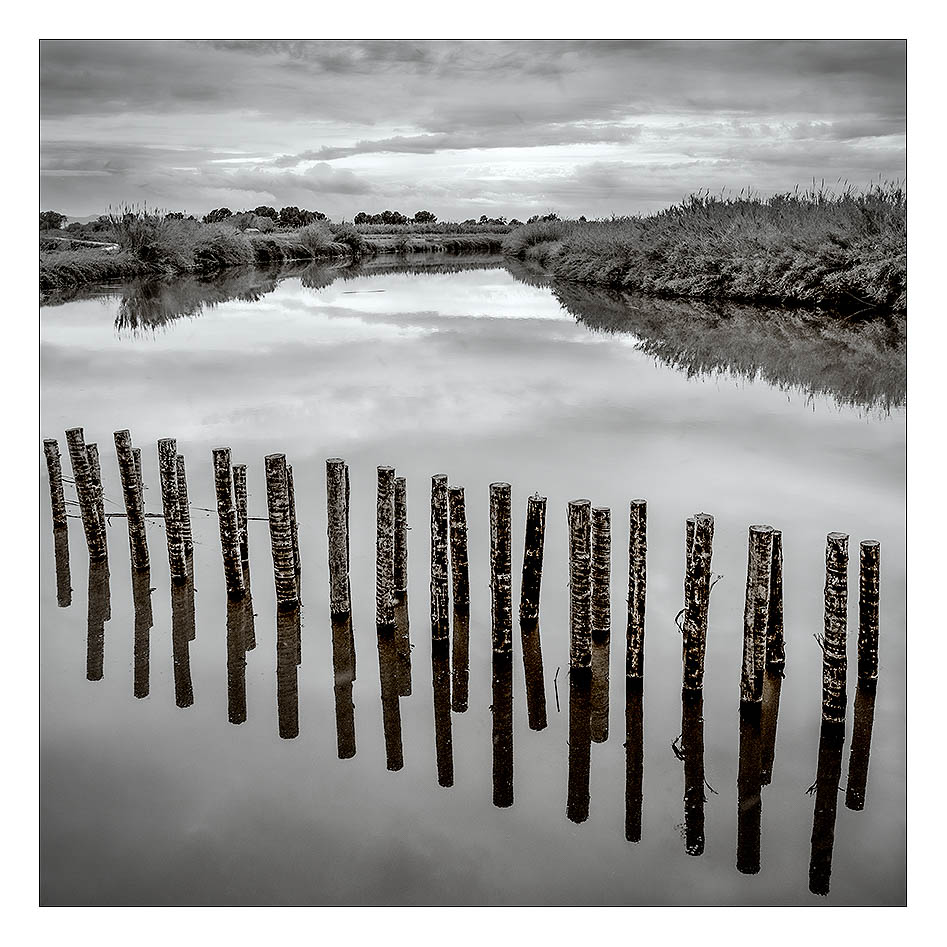 Palos en el rio Imagen & Foto | paisajes, naturaleza Fotos de fotocommunity