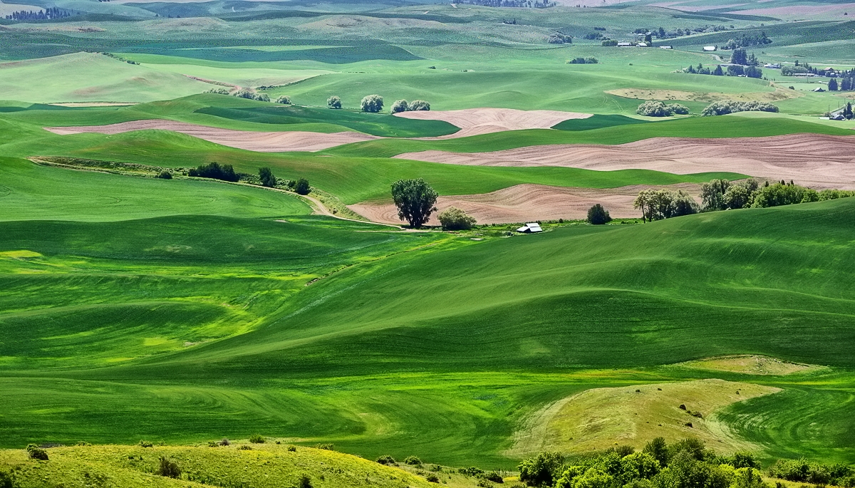 Palouse Foto & Bild | north america, united states, north west Bilder ...