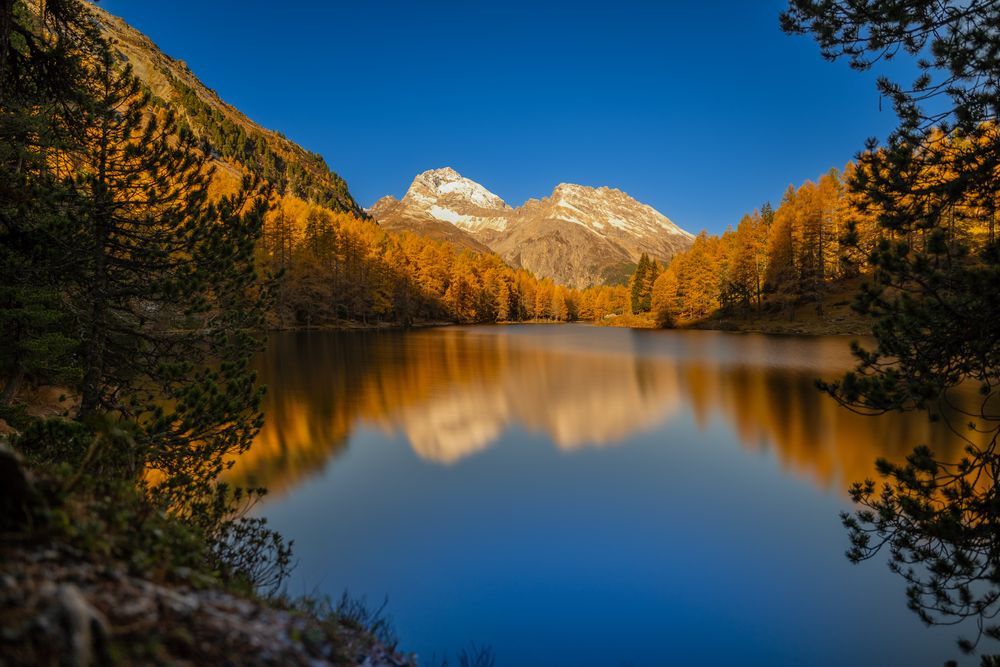 Palpuognasee Foto & Bild | landschaft, jahreszeiten, herbst Bilder auf fotocommunity