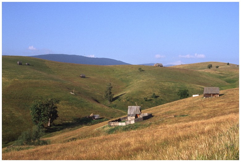 Paltinis Foto & Bild | europe, balkans, romania Bilder auf fotocommunity