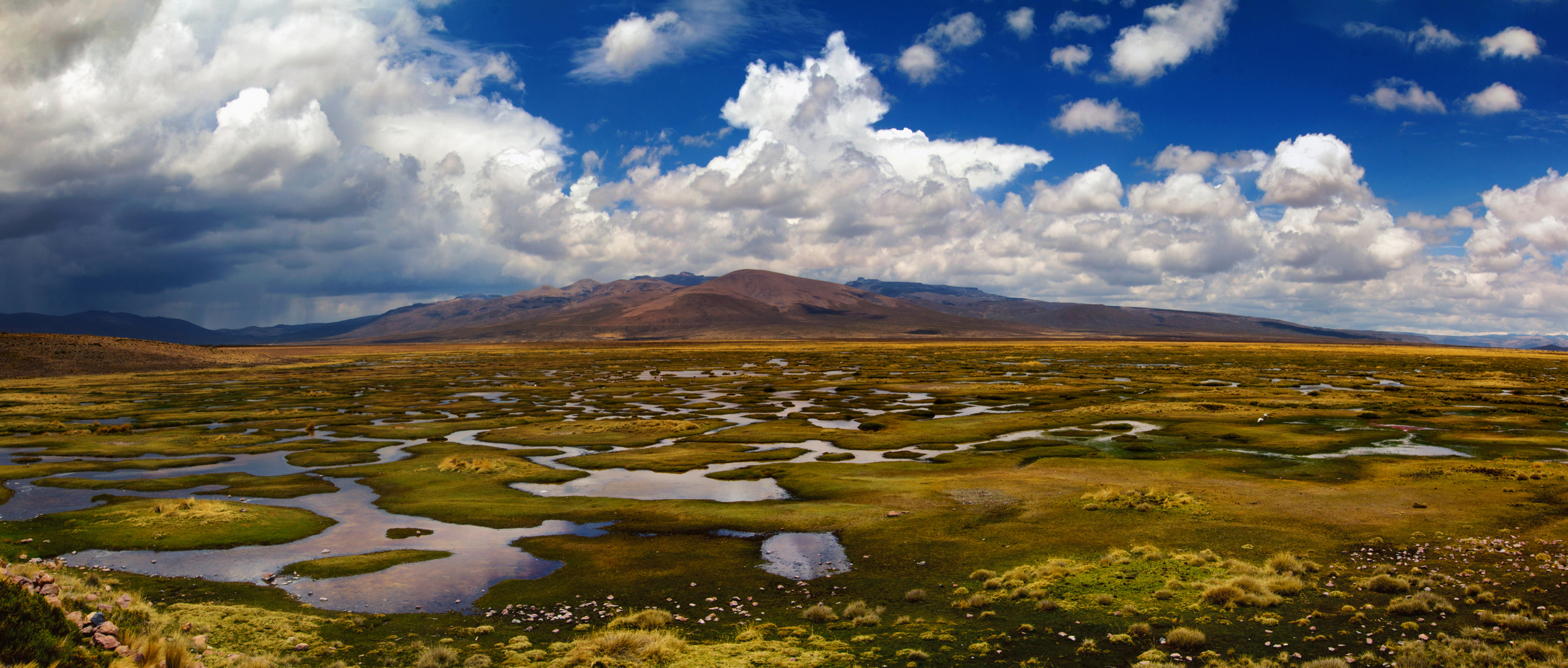 Pampa Cañahuas - Hochmoorlandschaft in Peru Foto & Bild | world, himmel ...