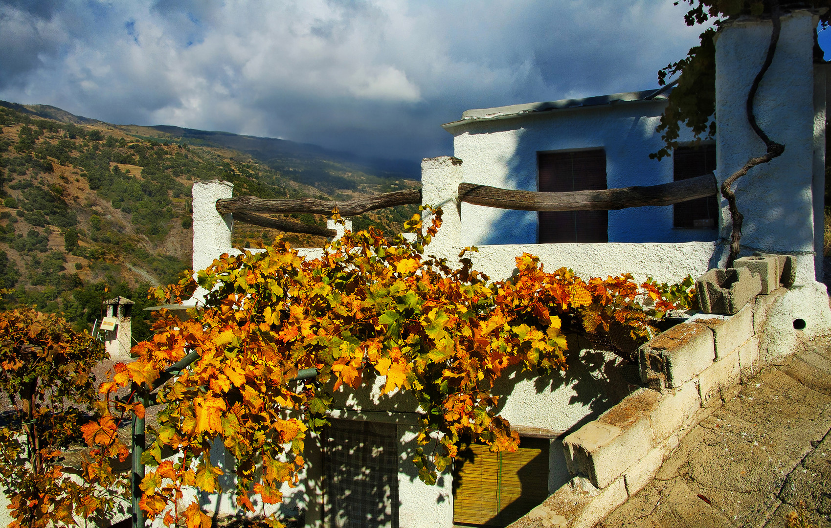 PAMPINUS,PÁMPANO.....PAMPANEIRA Imagen & Foto | ciudades, alpujarra ...