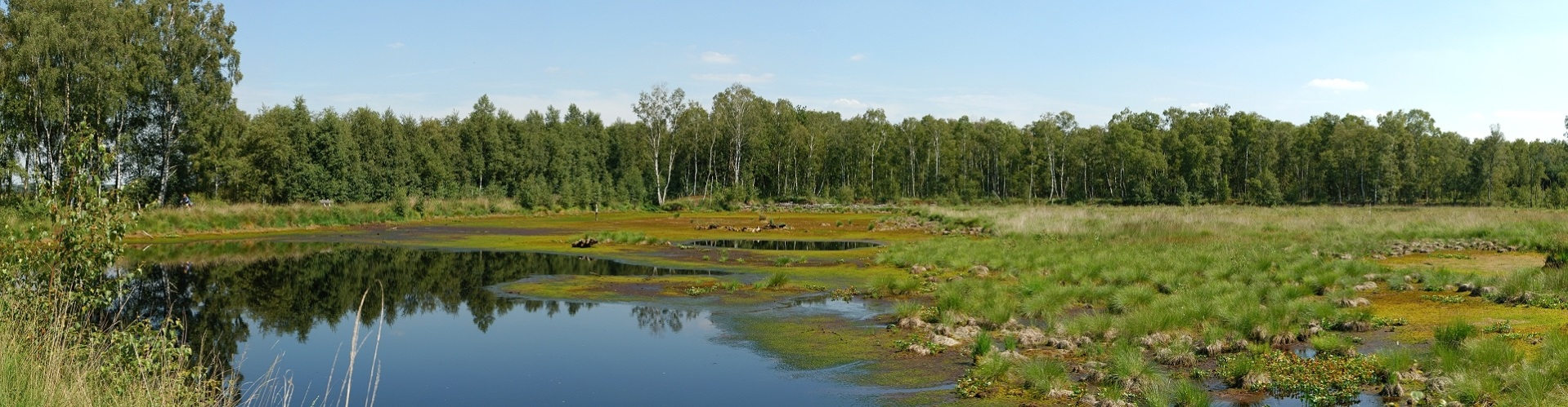 Pano - Das Moor wird trocken Foto & Bild | deutschland, europe ...