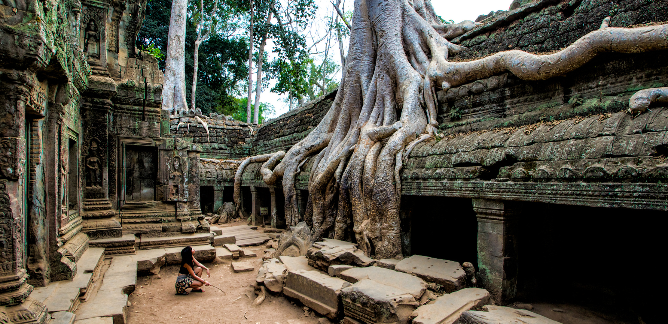 Panorama aus dem Ta Prohm Tempel, Angkor 2013 Foto & Bild | asia ...