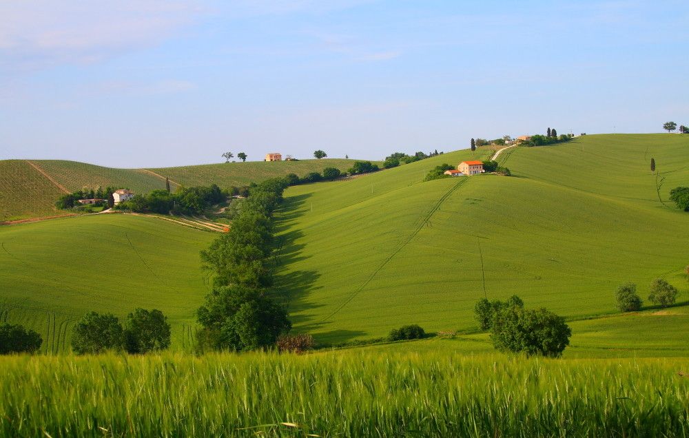 panorama campagna Foto % Immagini| paesaggi, campagna, natura Foto su ...
